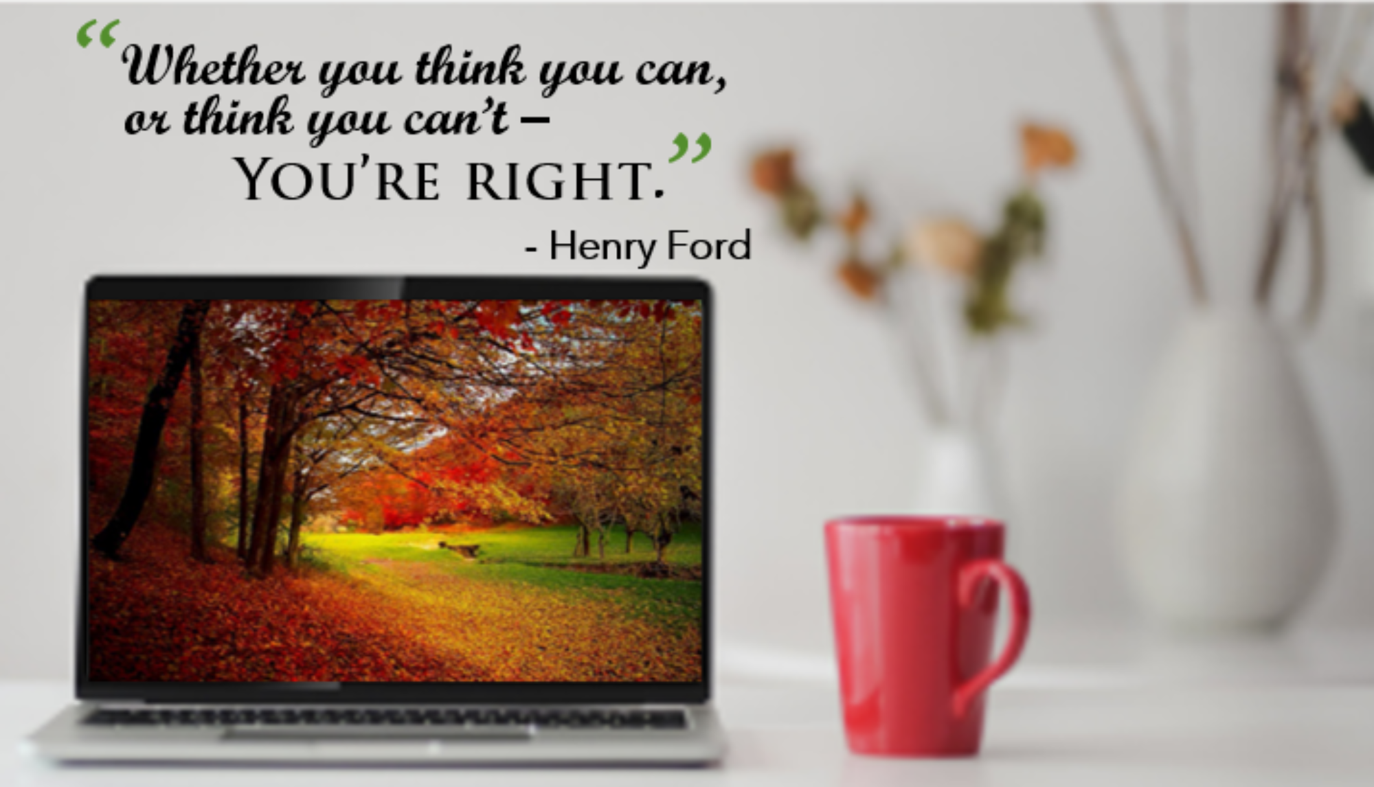 Koala Professional Services – Remote Business Administration ...